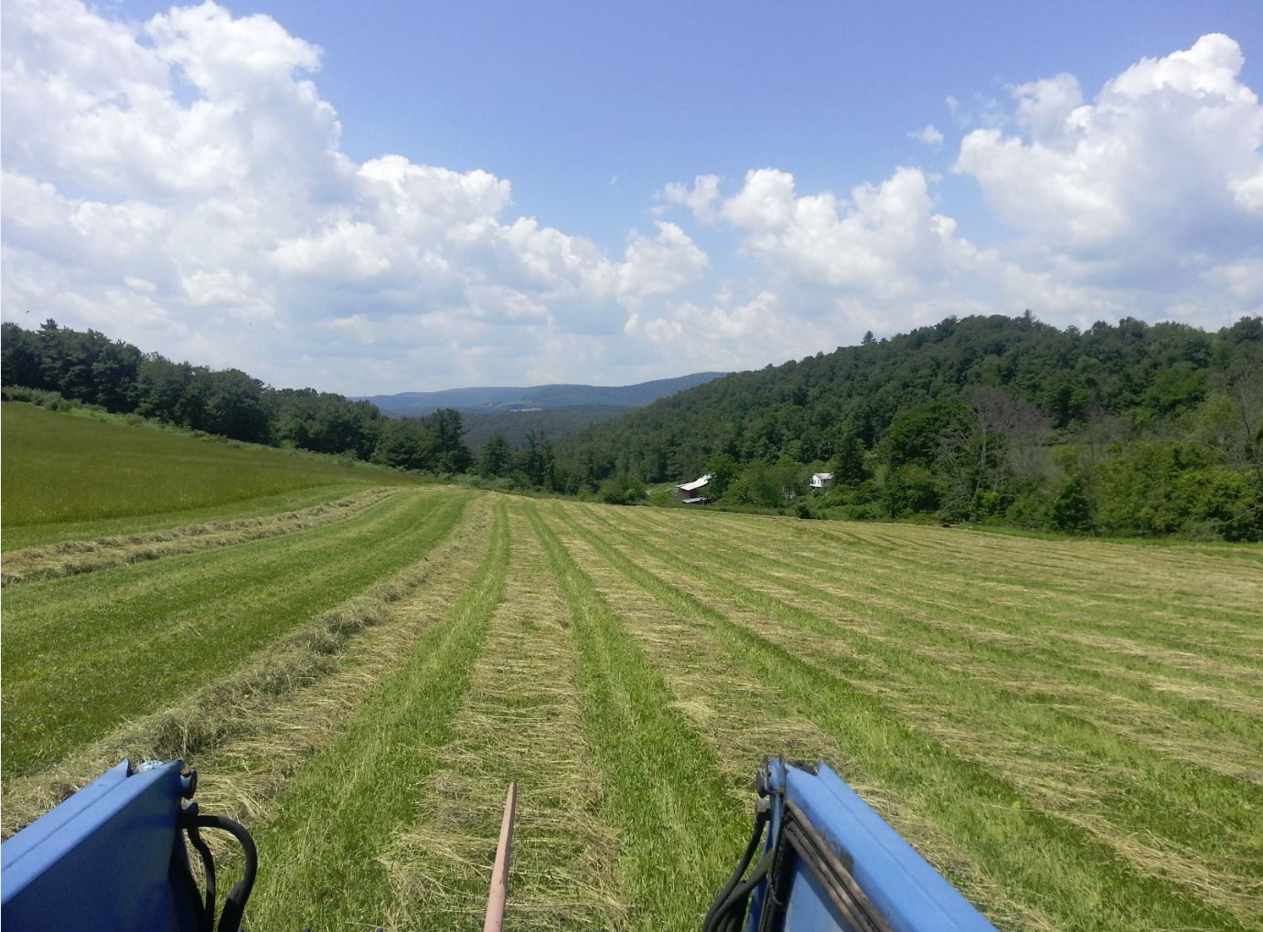 Products – Hilltop Hollow Farm -- Plant Nursery